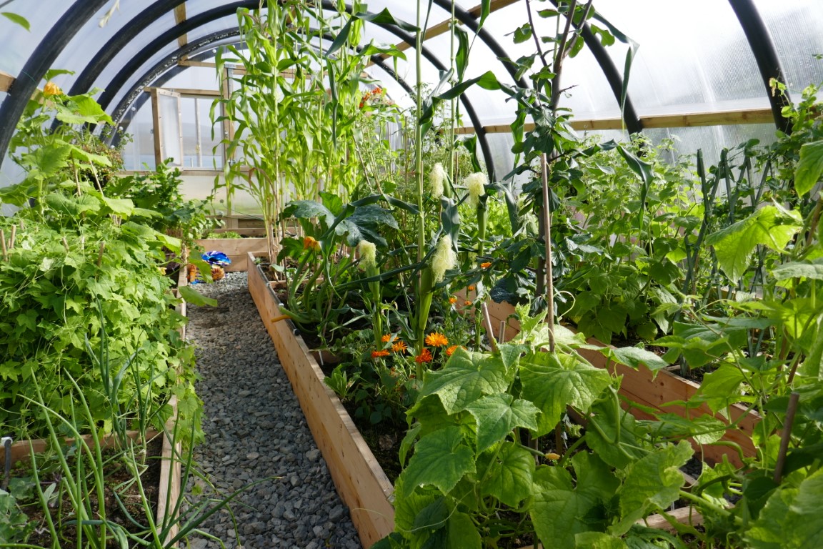 Past Projects - Northmavine Community Development Company